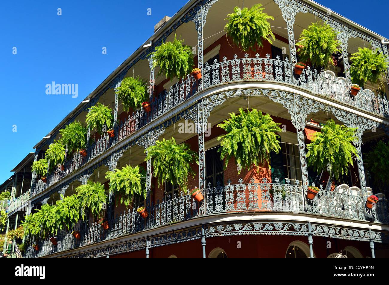Ferns hang from the wrought iron railings of the La Branche building ...