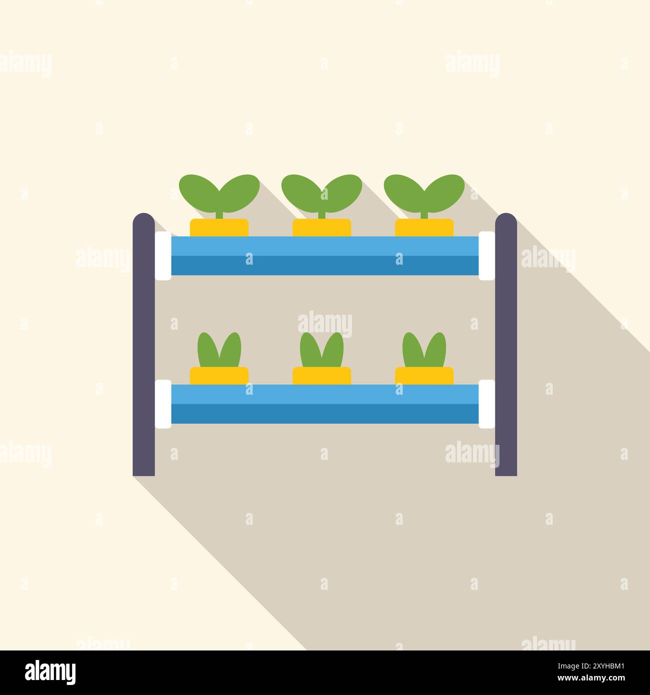 Hydroponic system with green seedlings growing in nutrient solution ...