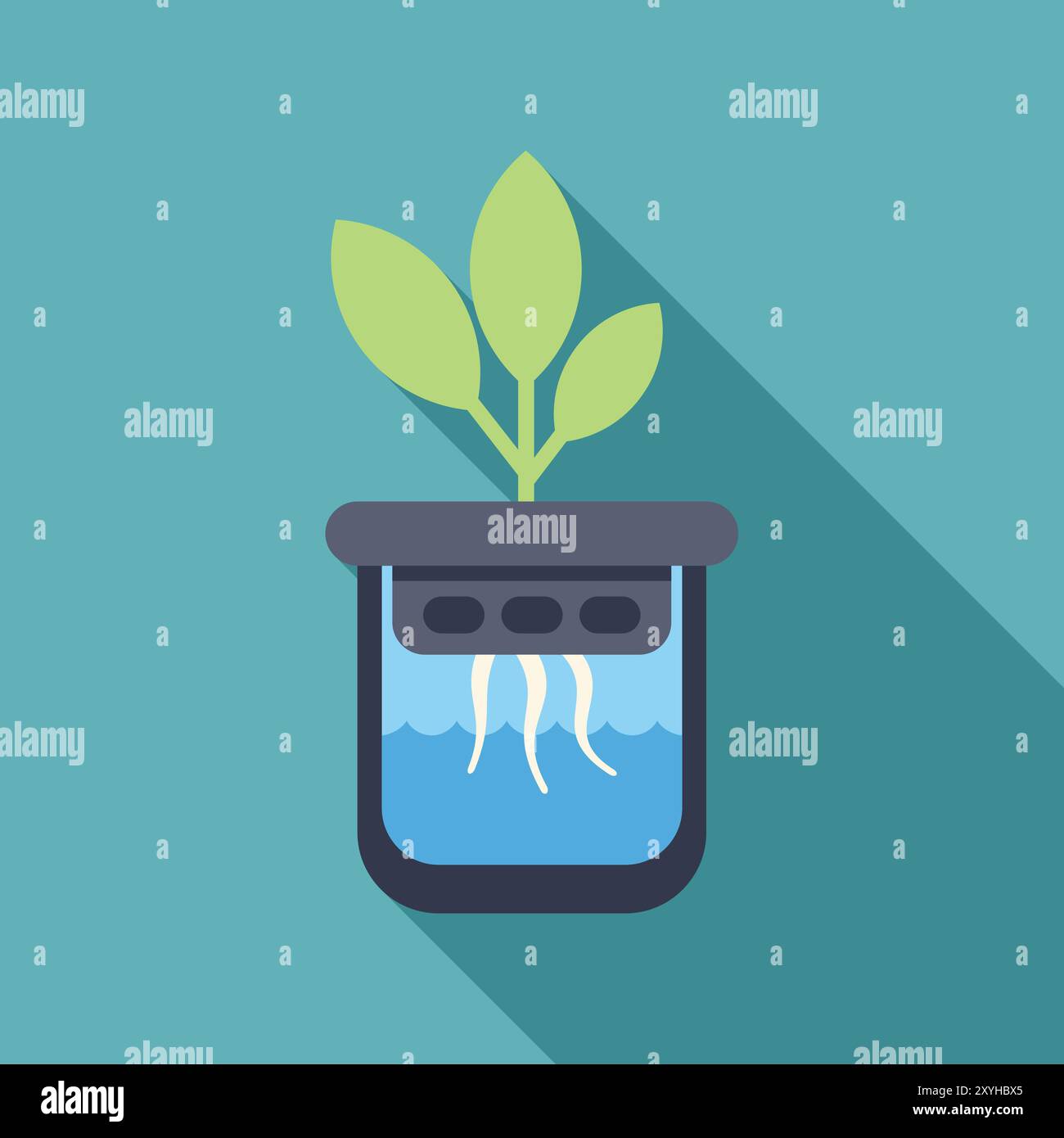 Plant with roots visible Stock Vector Images - Alamy