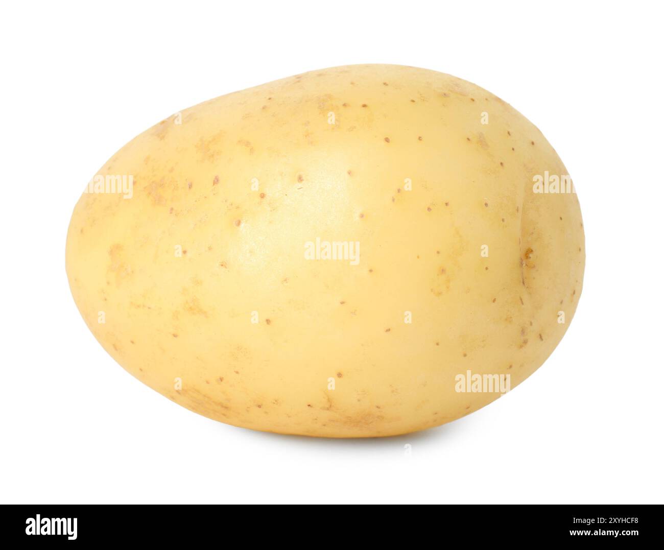 One young fresh potato isolated on white Stock Photo - Alamy