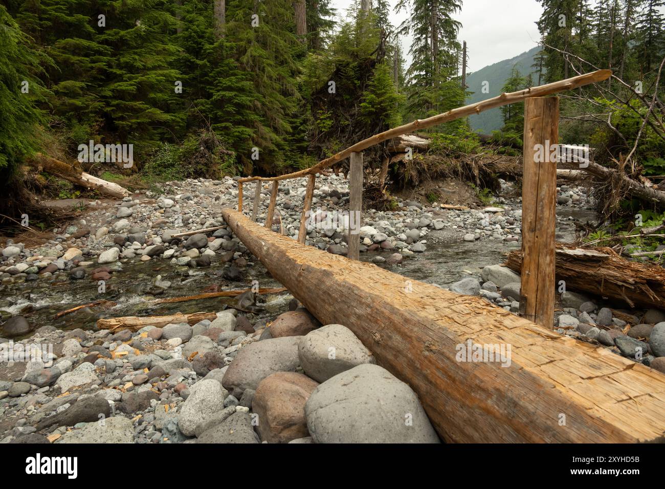 A Finger Of the Carbon River Flows Under Newly Installed Tree Log ...