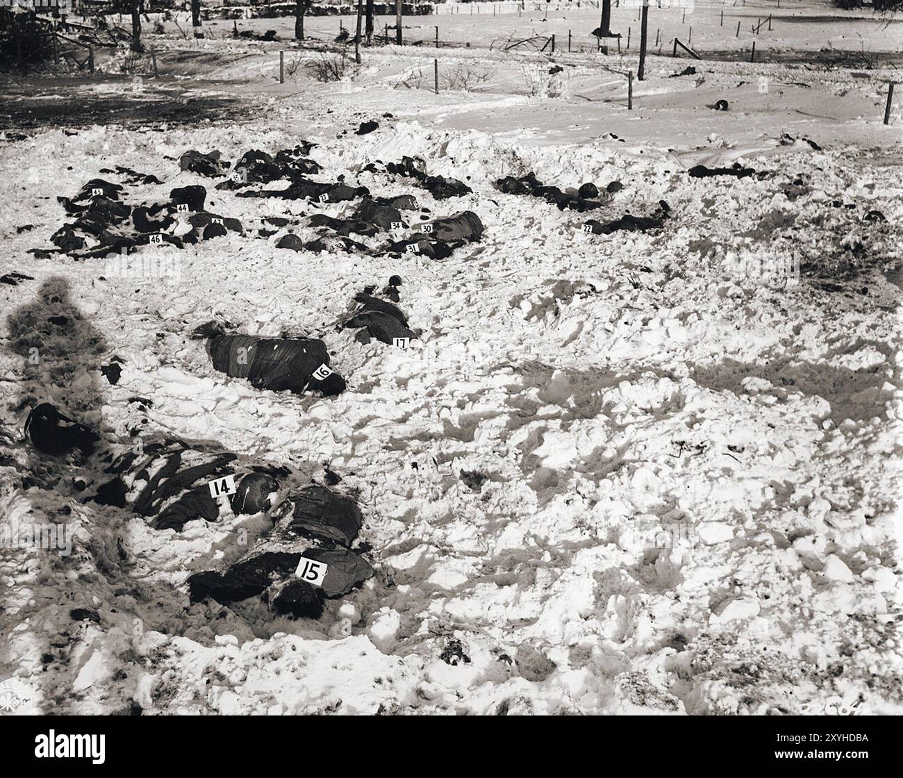 Corpses of American soldiers killed by the SS in the Malmedy atrocity ...