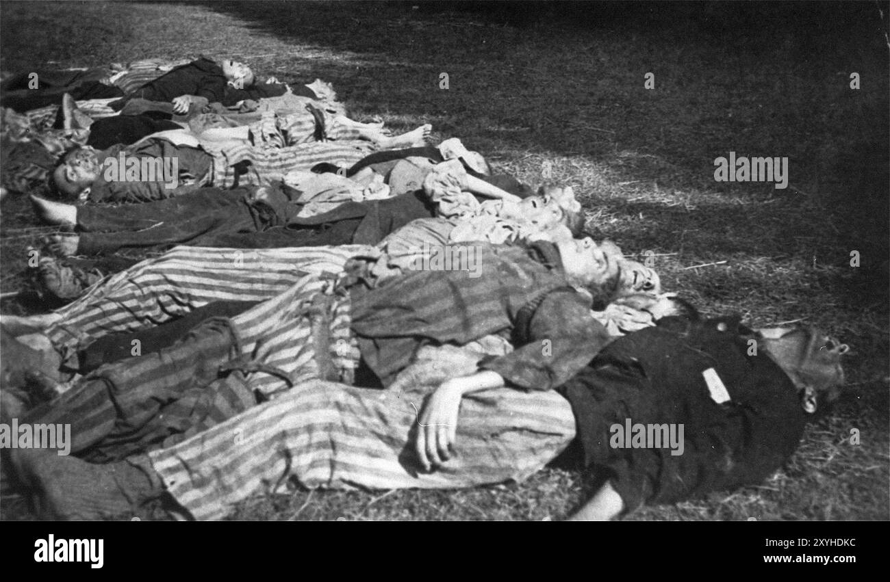 Piles of dead corpses hi-res stock photography and images - Alamy
