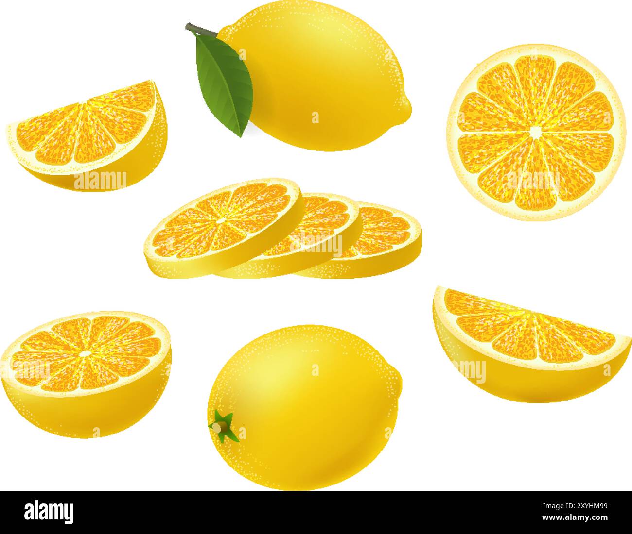 Realistic lemon citrus collection Stock Vector Image & Art - Alamy