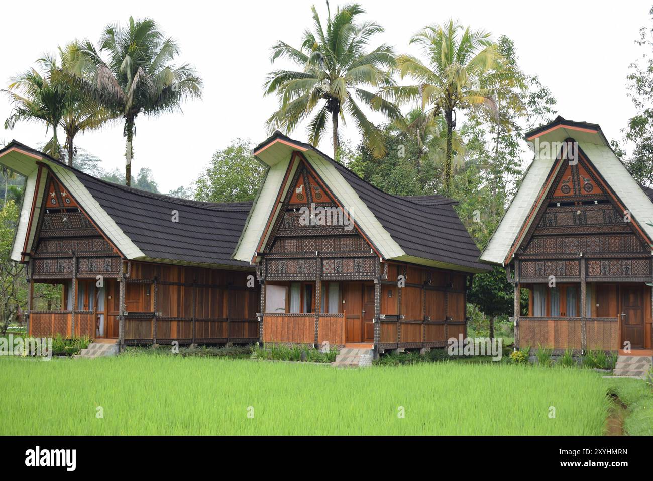 Tongkonan traditional houses and natural scenery in North Toraja ...