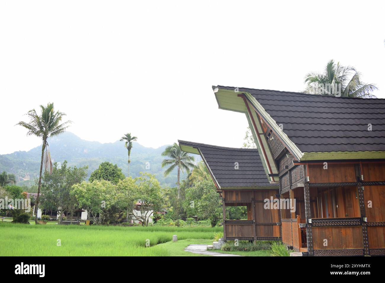 Tongkonan traditional houses and natural scenery in North Toraja ...
