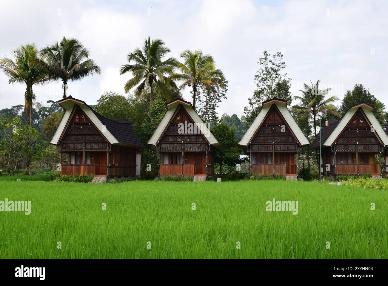 Tongkonan traditional houses and natural scenery in North Toraja ...