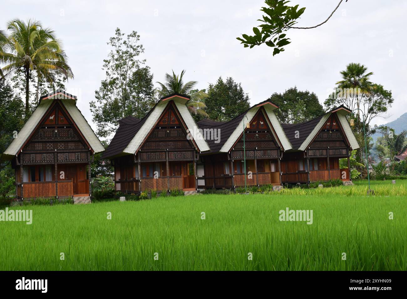 Tongkonan traditional houses and natural scenery in North Toraja ...