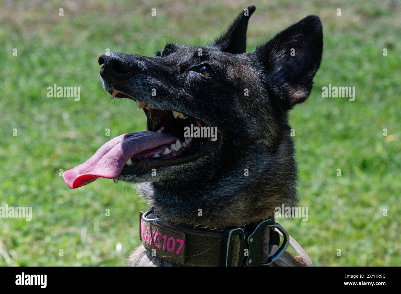 647th security forces squadron hi-res stock photography and images - Alamy