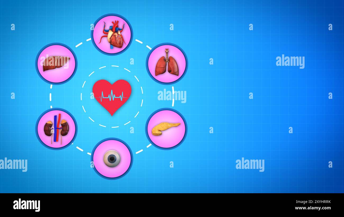 Human Organs medical innovation concept with Heartbeat Loop Stock Photo ...