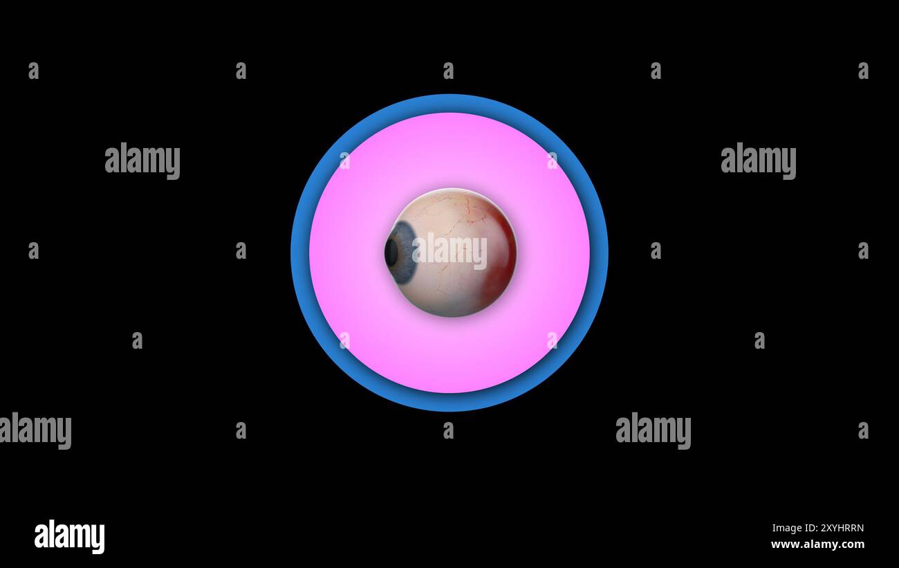Human eye ball hi-res stock photography and images - Alamy