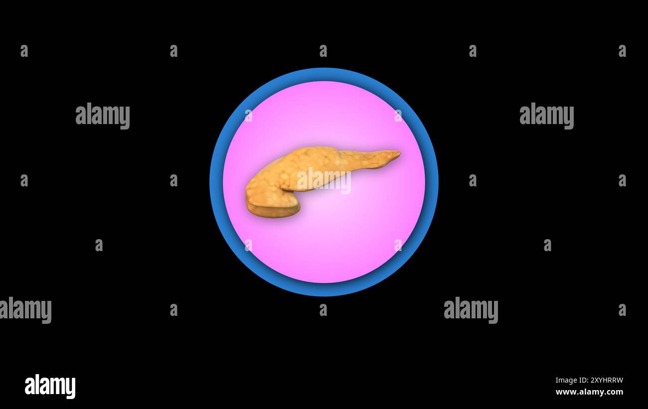3d Human Pancreas organ icon isolated on black background Stock Photo ...