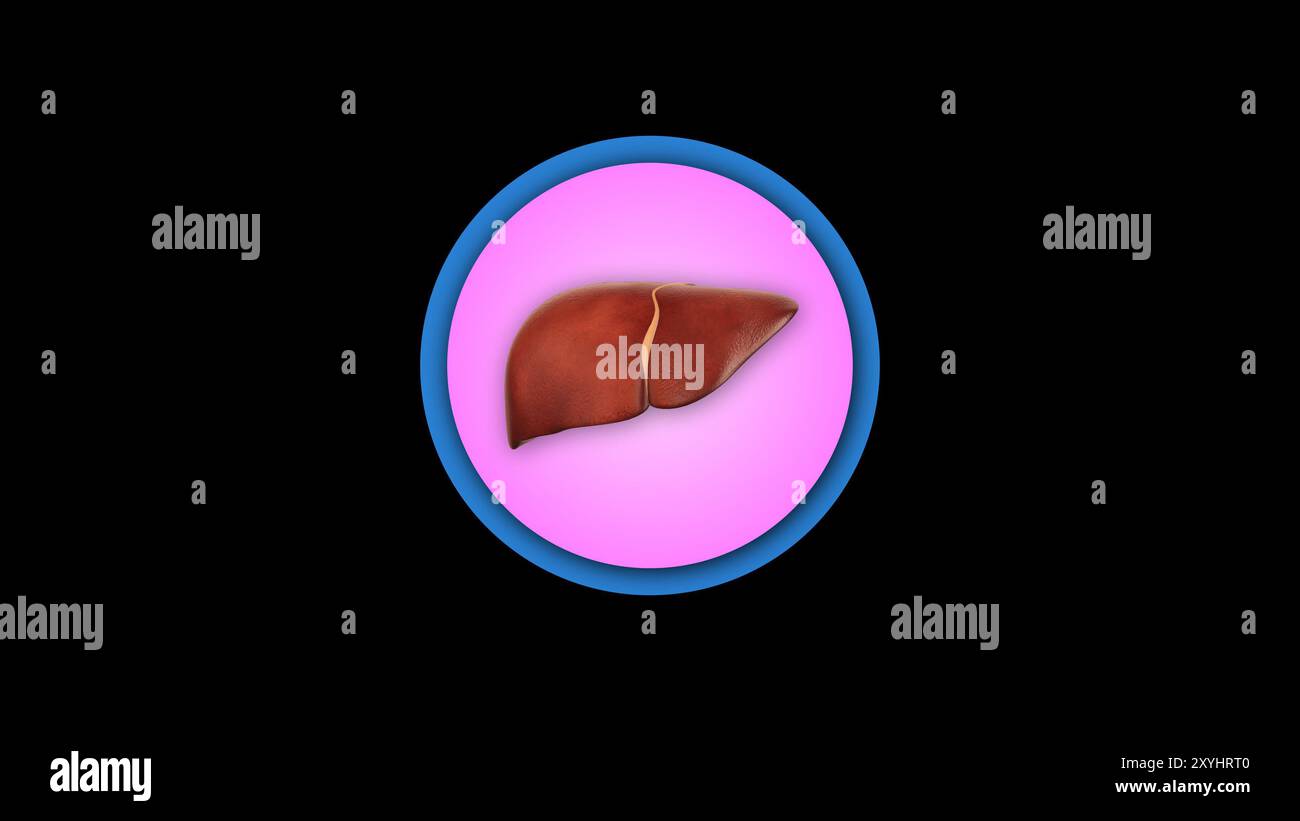 Human liver 3d protection hi-res stock photography and images - Alamy
