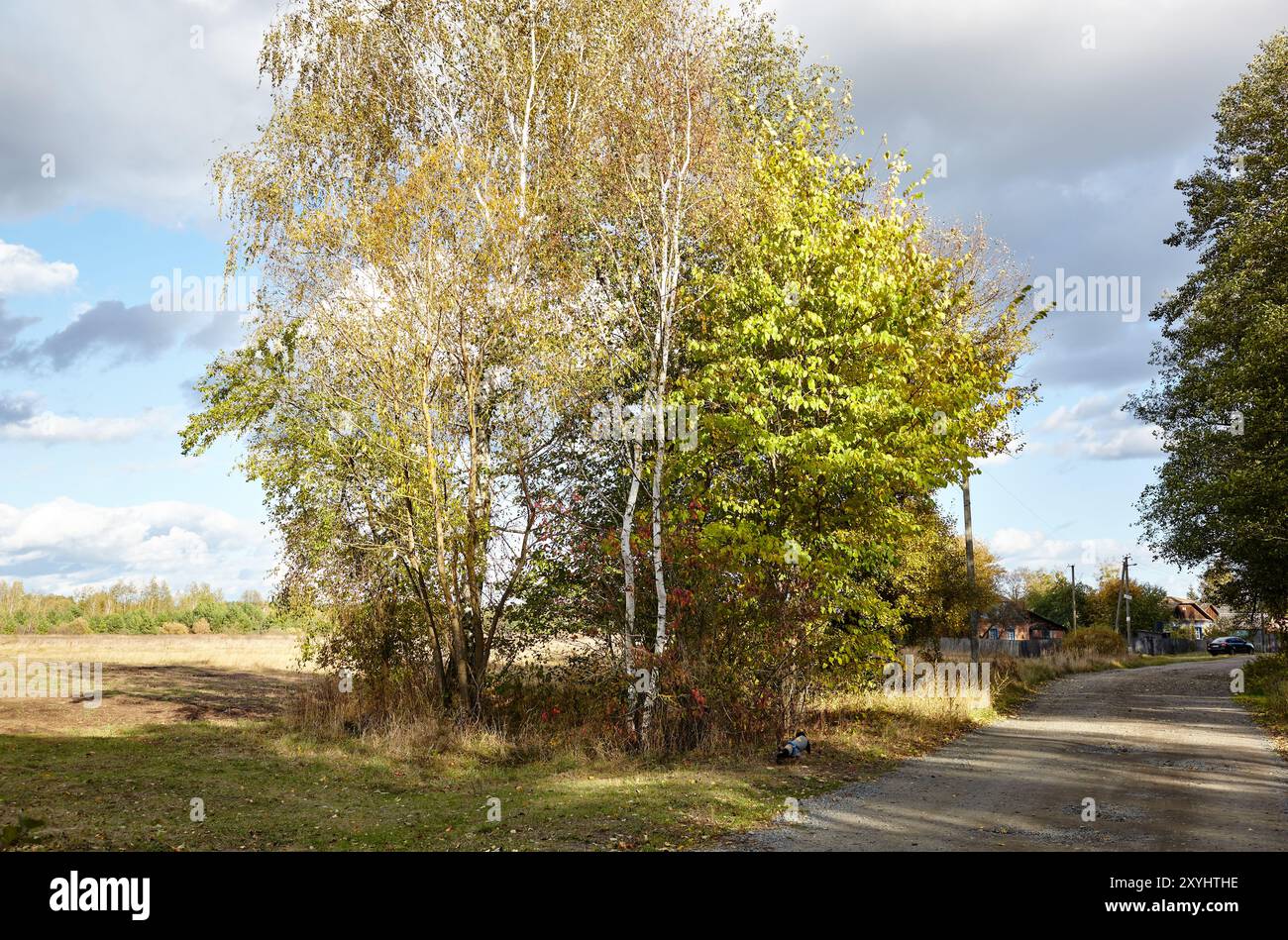 A gravel road at rural Europe. Suburban road path Stock Photo - Alamy