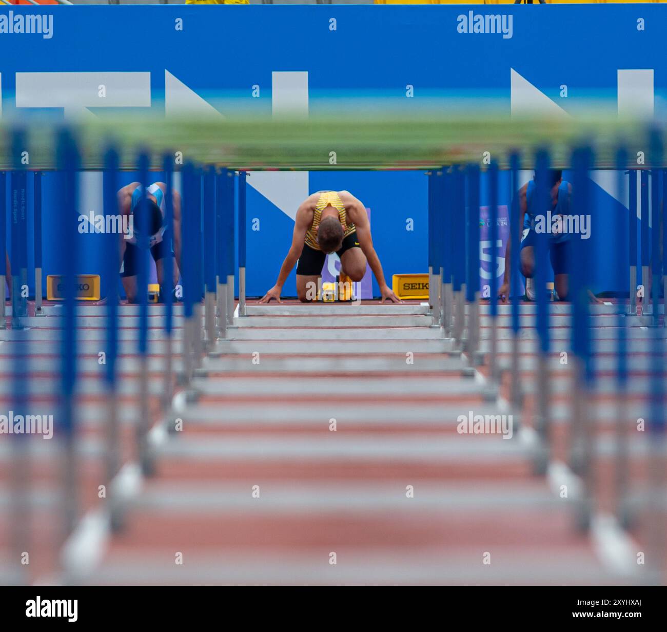 110 meter hurdles hi-res stock photography and images - Alamy