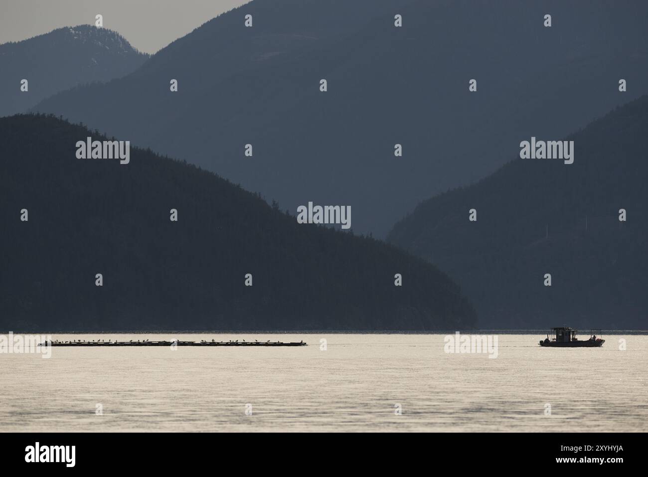 Ship pulling a raft through Howe Sound in British Columbia, Canada ...