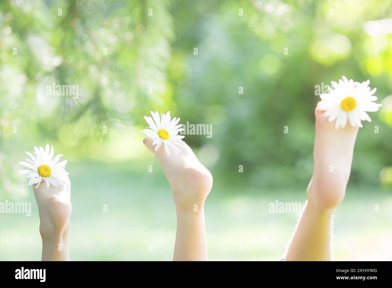 Feet of family with flowers against green spring background Stock Photo ...