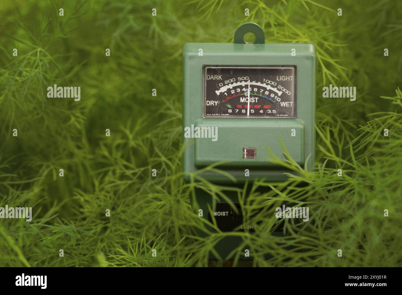 Green plants and three way meter PH, light and moisture in the soil ...