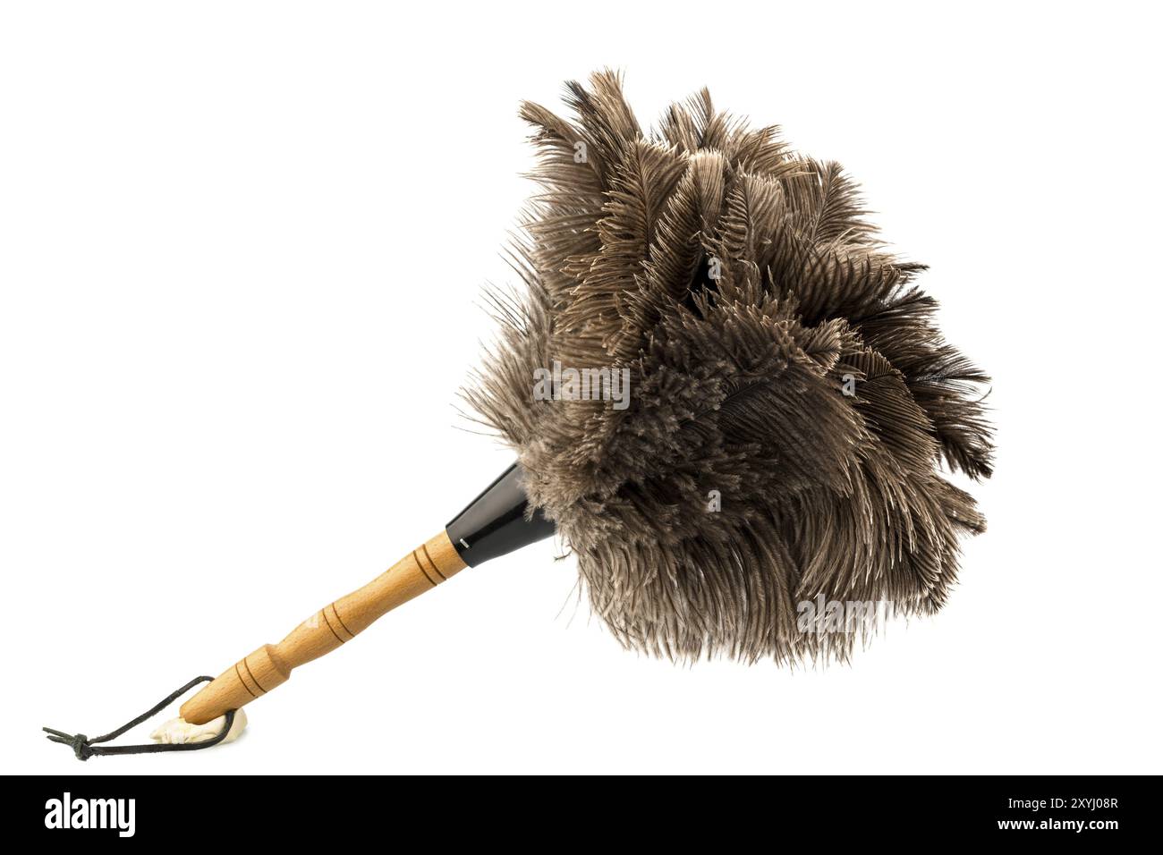 A feather duster in front of a white background, studio Stock Photo - Alamy