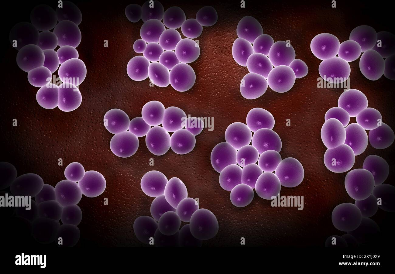 Microscopic view of staphylococcus Stock Photo - Alamy
