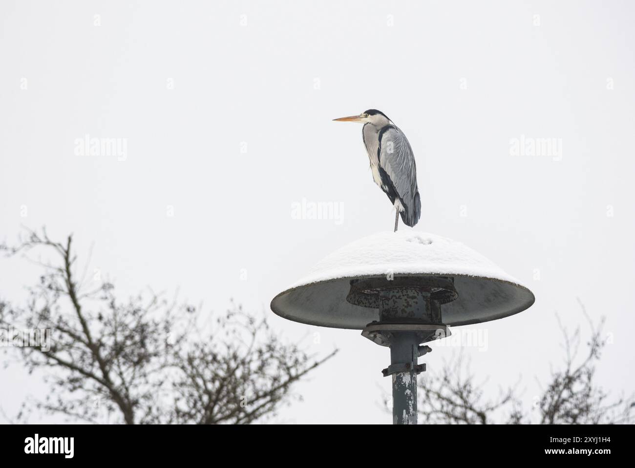 Sirens sit hi-res stock photography and images - Alamy
