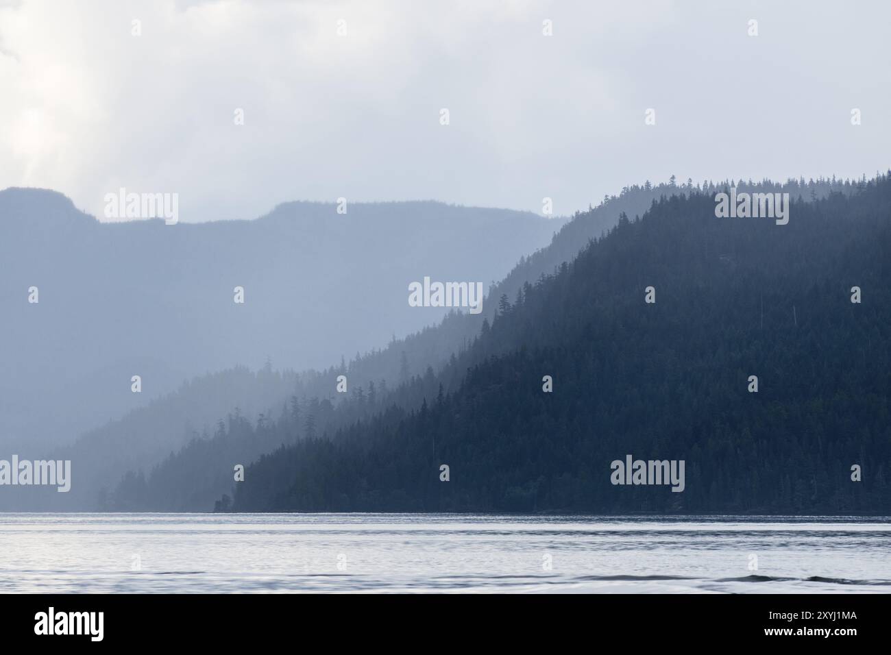 Silhouette of temperate rainforest of the Johnstone Strait in British ...