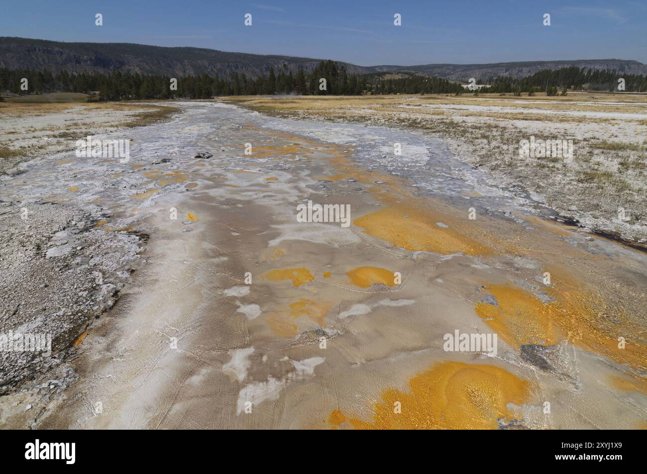 Drainage channel with yellow thermophilic bacteria of the Grand Geyser ...