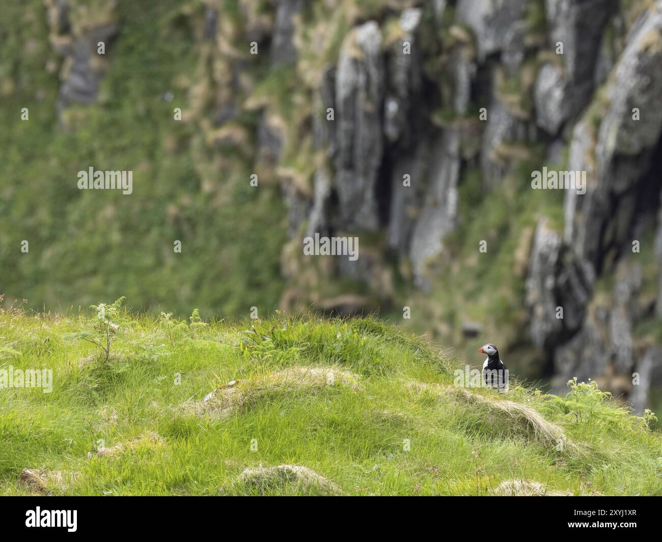 Edge rocky island in open hi-res stock photography and images - Alamy