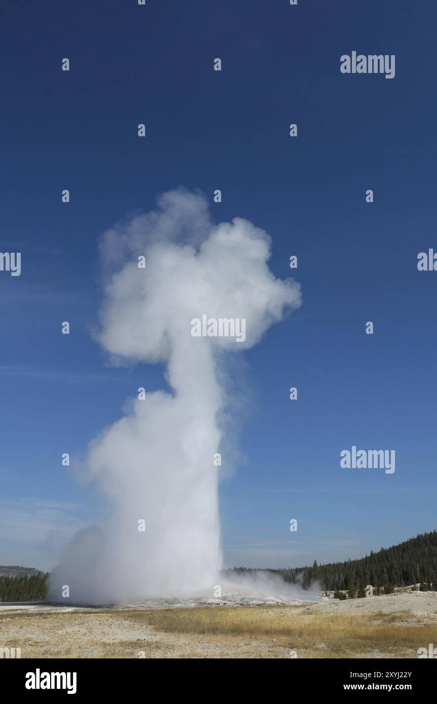 Eruption of the Old Faithful Geyser in Yellowstone National Park in ...