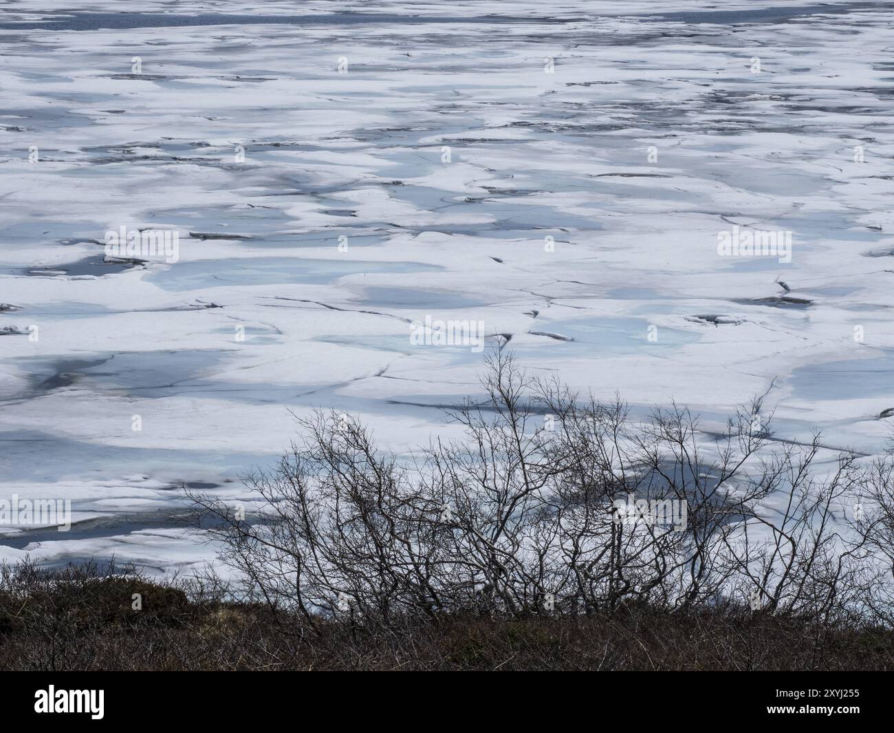 Ice melts to lake hi-res stock photography and images - Alamy