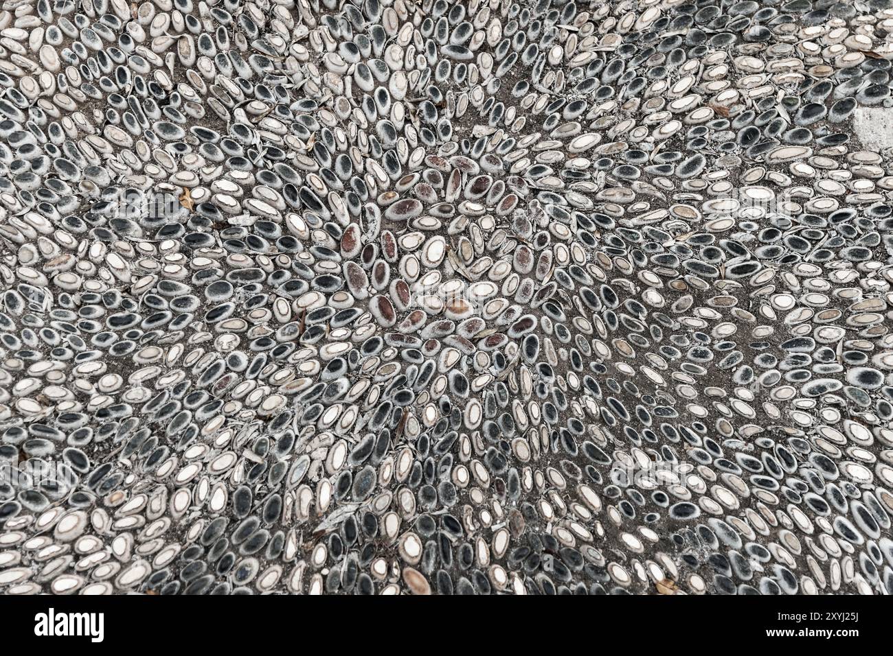 Mosaic ground pavement with radial pattern of black and white pebble ...