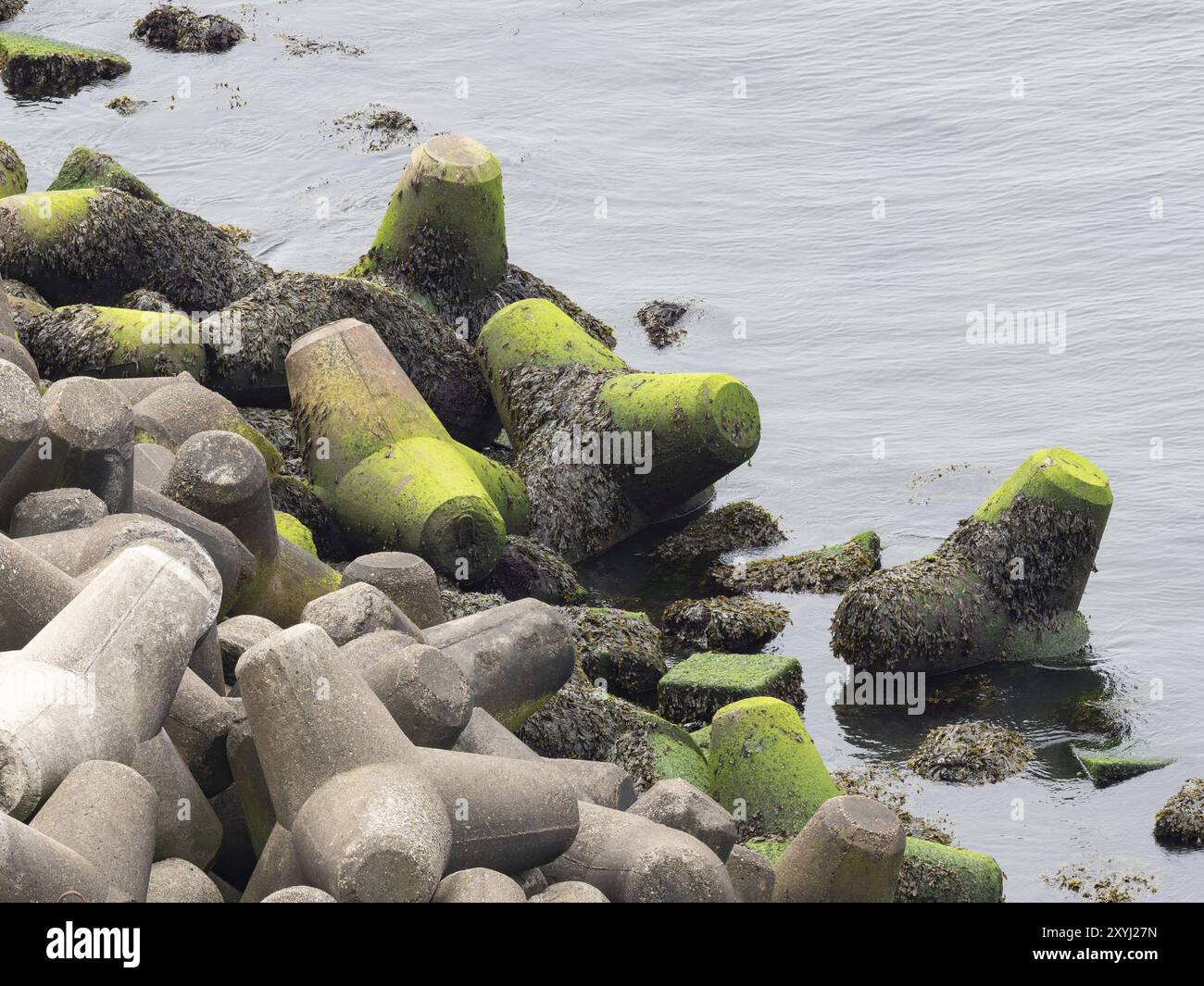 Breaking tetrapods hi-res stock photography and images - Alamy