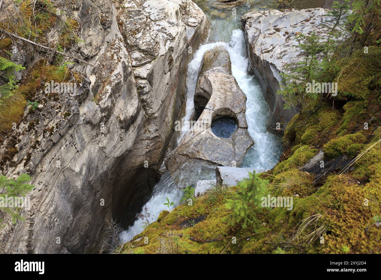 Maligne Canyon in Jasper National Park Alberta Canada Stock Photo - Alamy