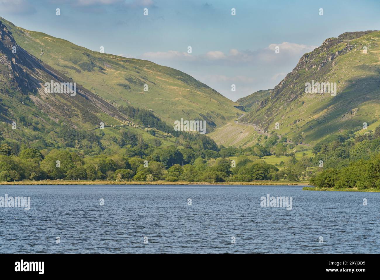 The north east shore of Tal-y-Llyn in South Snowdonia, Gwynedd, Wales ...