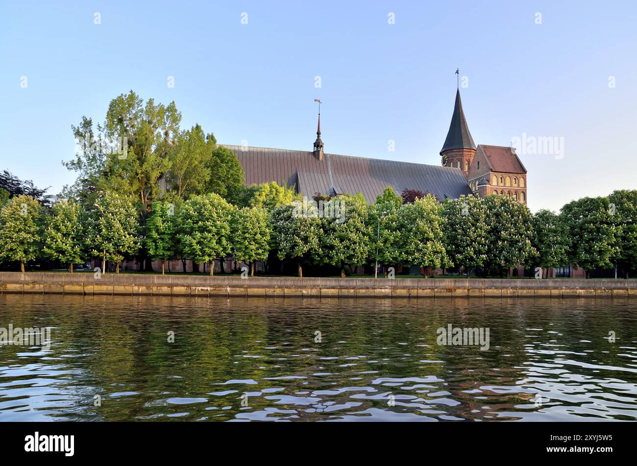 Konigsberg Cathedral on Kneiphof island. Gothic 14th century. Symbol of ...