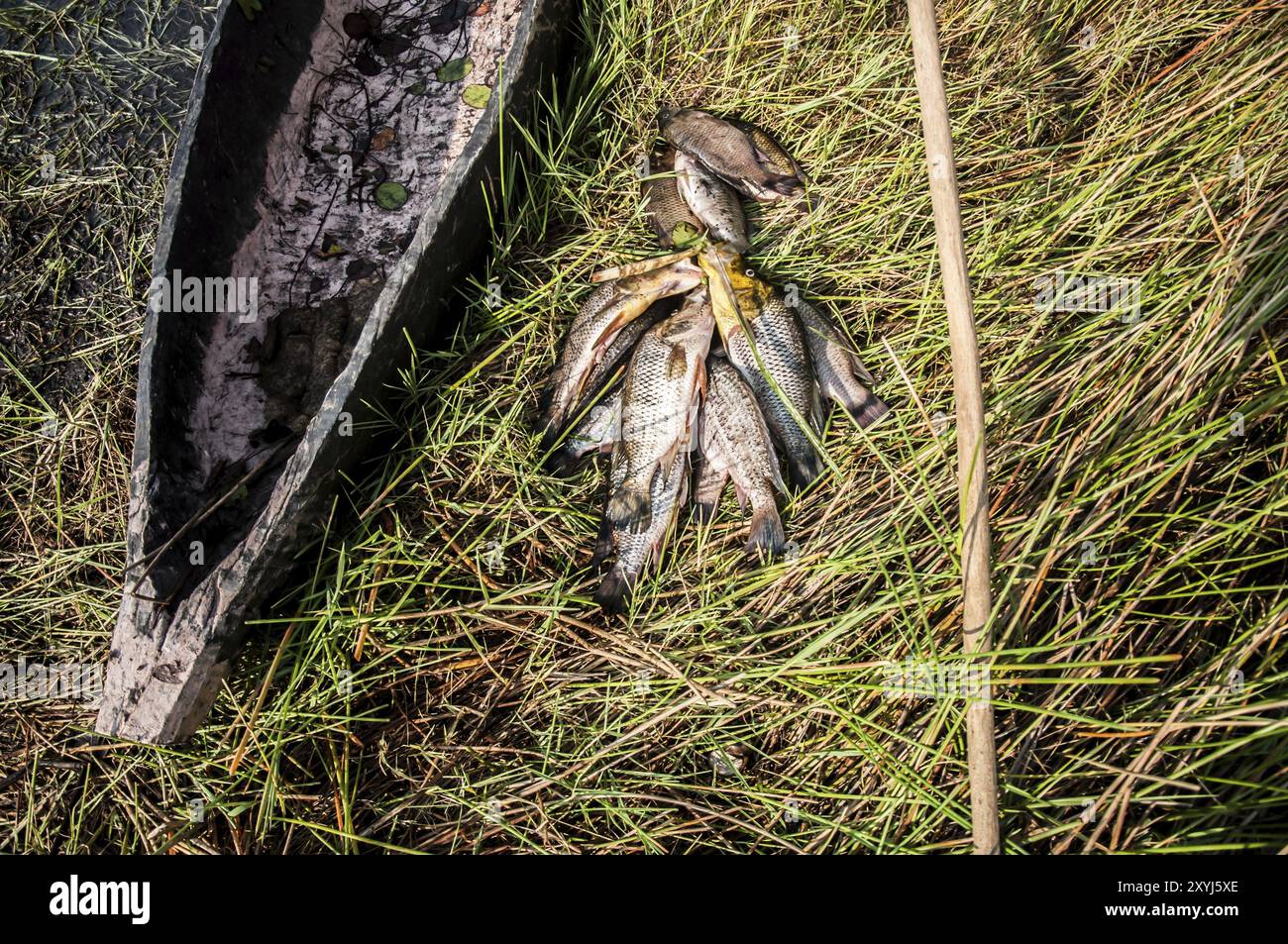 Dug well hi-res stock photography and images - Alamy