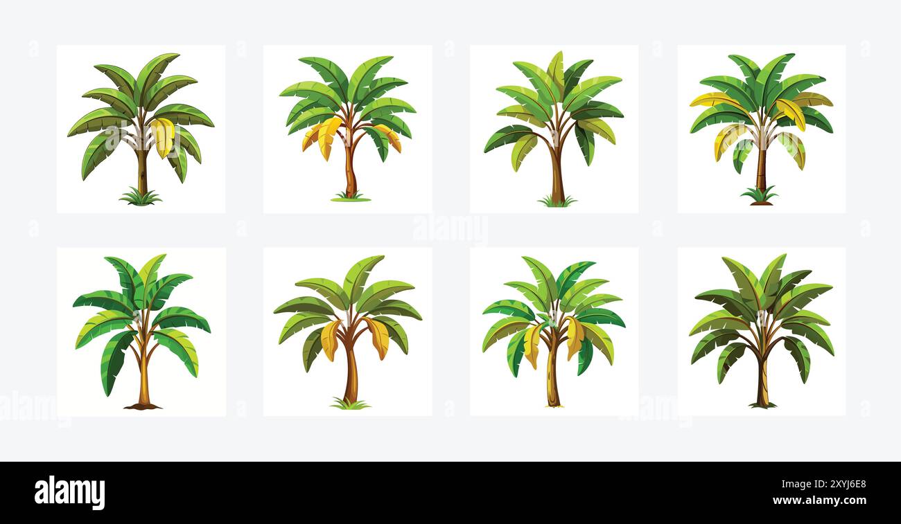 Banana tree bundle tropical vector illustrations hi-res stock ...