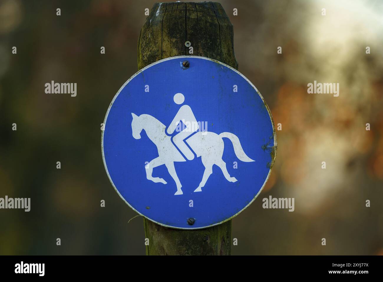 Sign: Bridle path with blurry background Stock Photo - Alamy