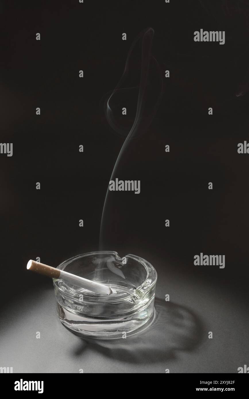 A lid cigarette in a glass ashtray with the smoke from the cigarette ...