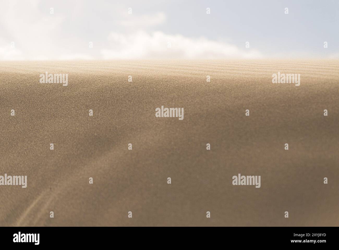 Fine texture and lines of sandy dunes in a desert Stock Photo - Alamy
