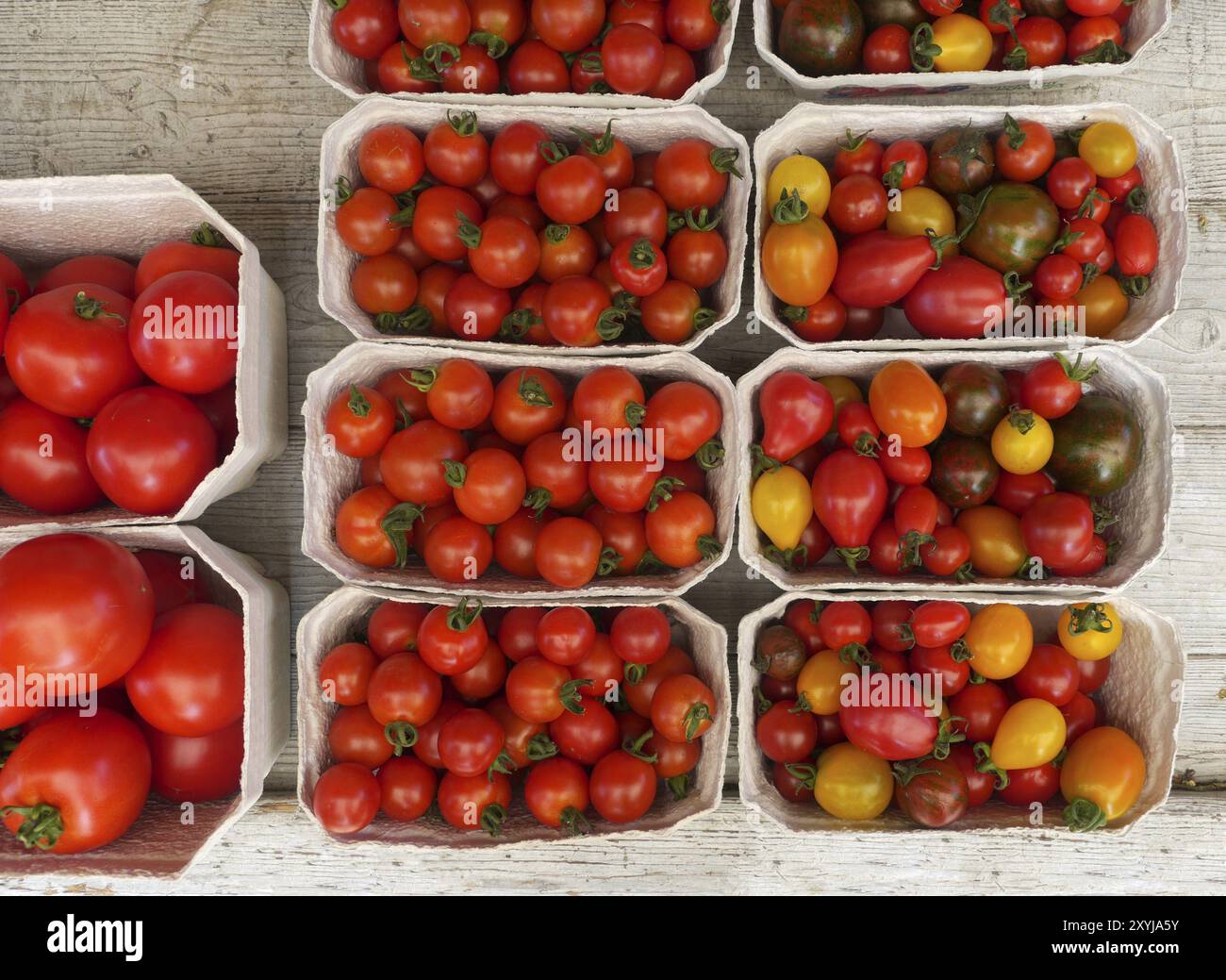 Dead tomatoes hi-res stock photography and images - Alamy