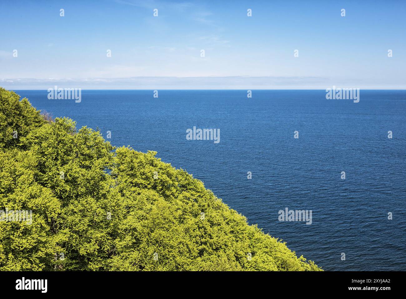 No coa hi-res stock photography and images - Alamy