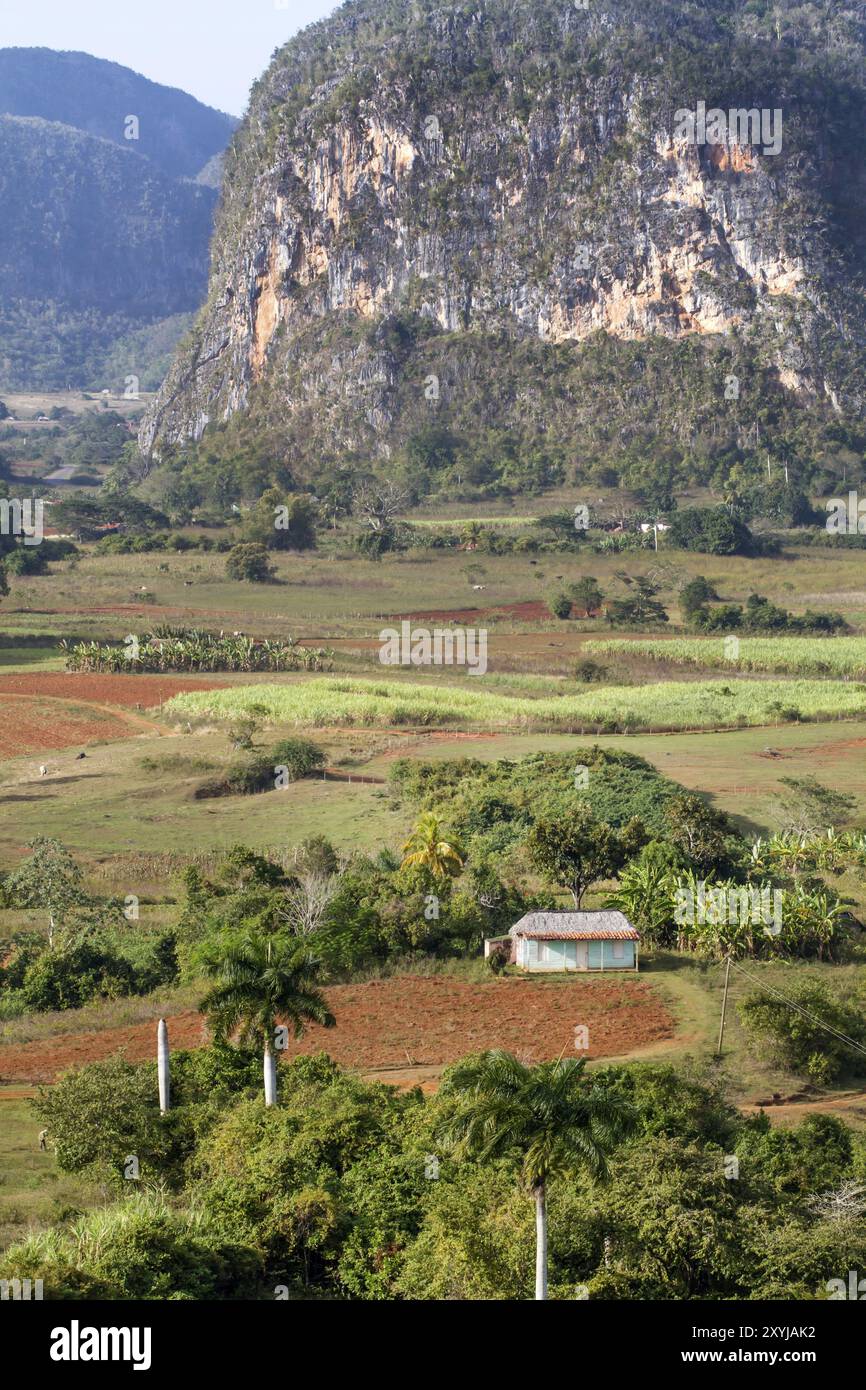 Cuban landscape near Vinales Stock Photo - Alamy