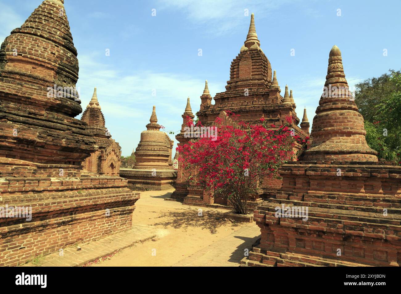 Temple refurbishment hi-res stock photography and images - Alamy