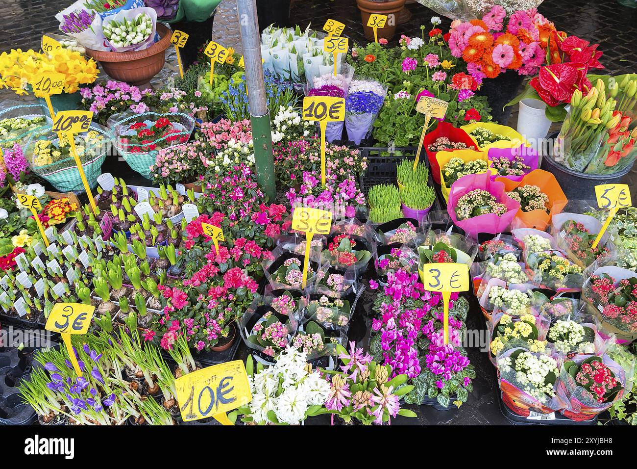 Selection of spring flowers at a market Stock Photo - Alamy