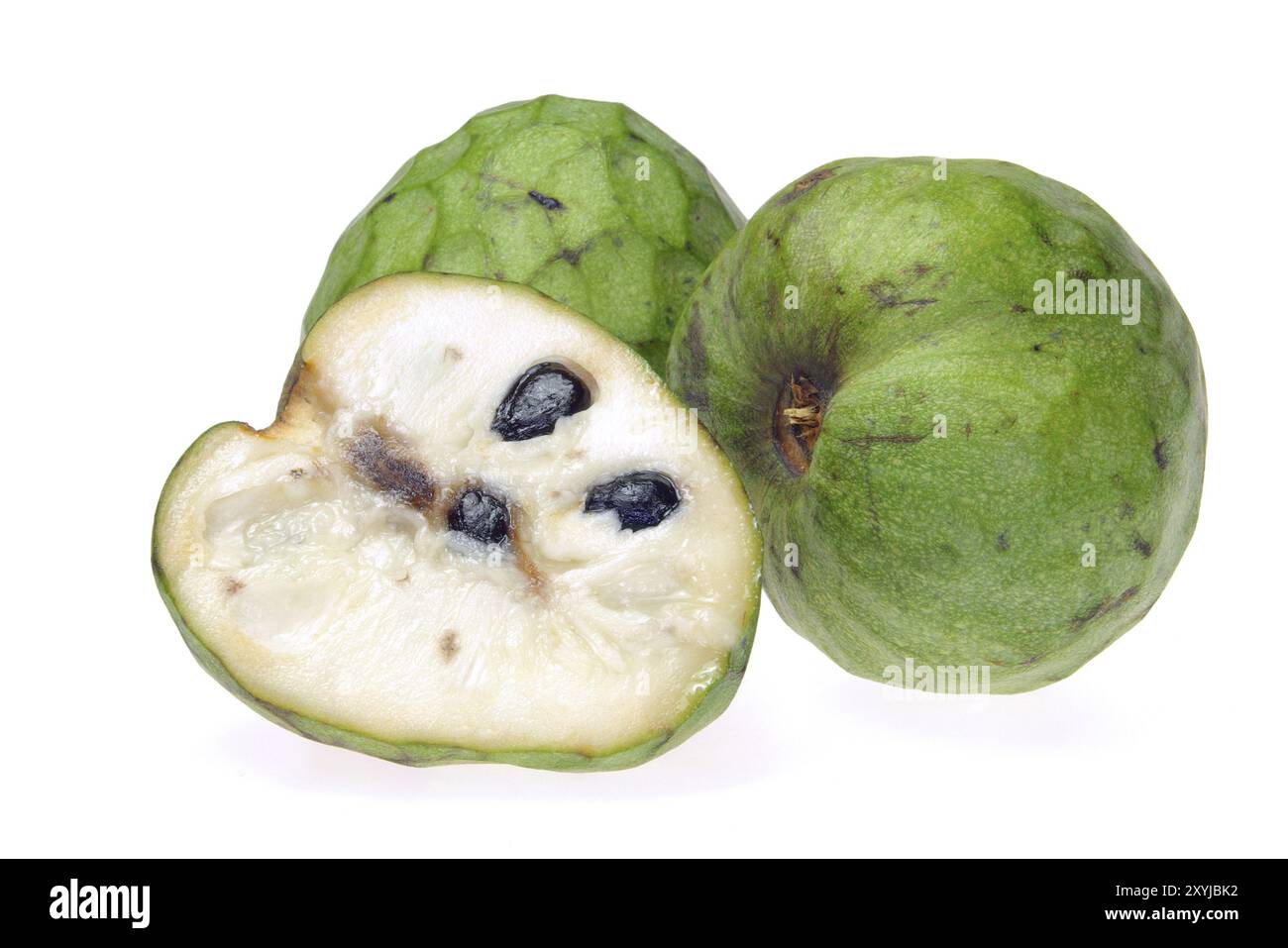 Cherimoya fruit tree Cut Out Stock Images & Pictures - Alamy