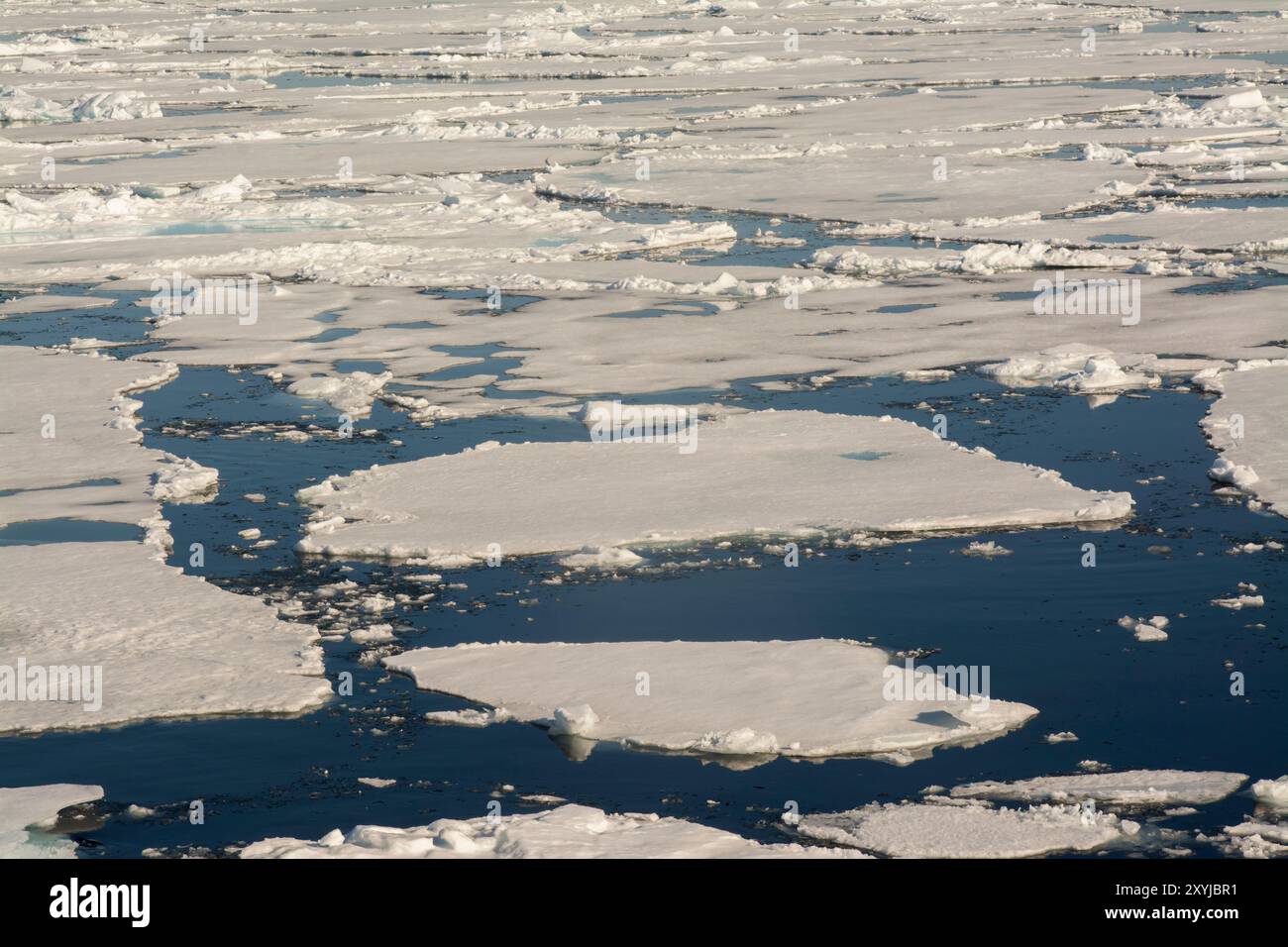 Fractured pack ice at 80°35’ N above Svalbard, Norway Stock Photo - Alamy