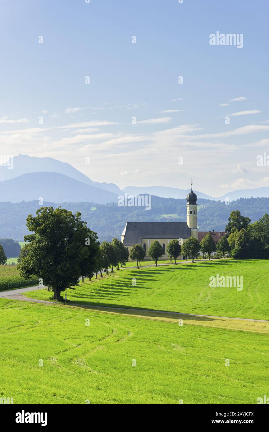 Pilgrimage church of St Marinus in Wilparting, cornfield, avenue ...