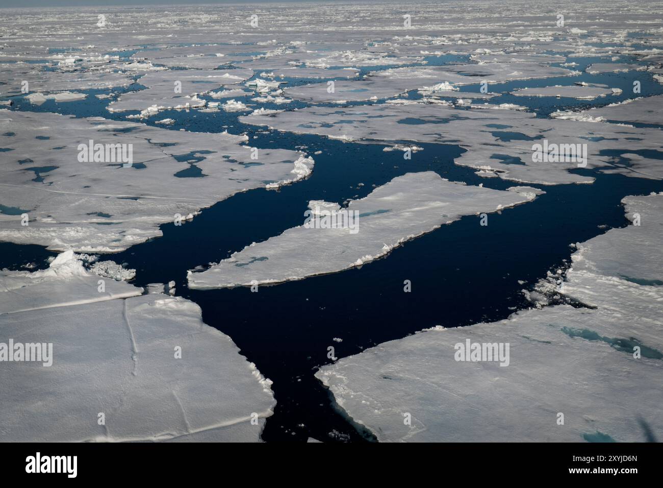 Fractured pack ice at 80°35’ N above Svalbard, Norway Stock Photo - Alamy