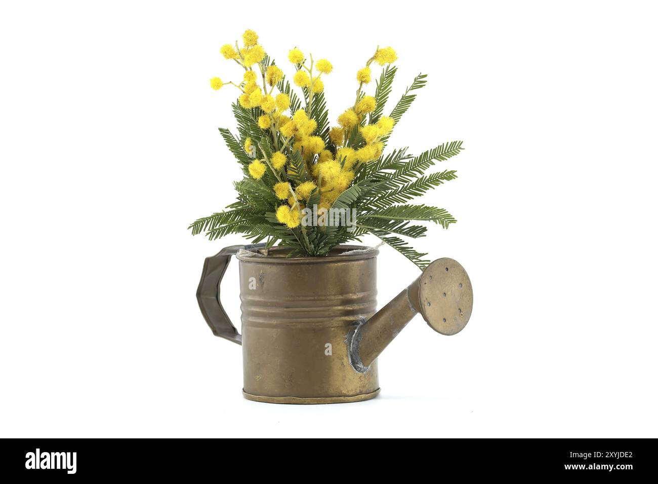 Copper colored flowers Cut Out Stock Images & Pictures - Alamy